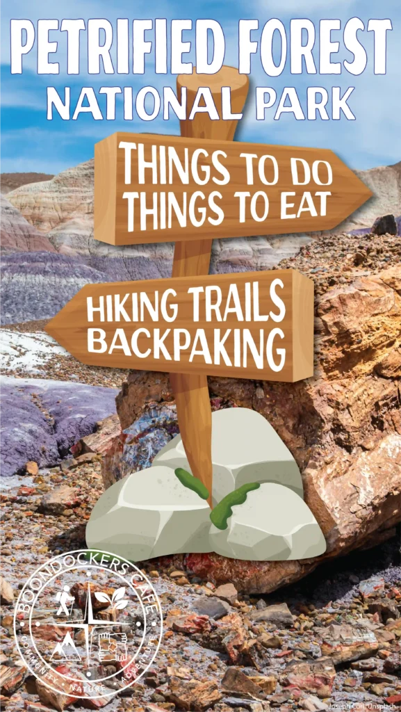 Petrified Forest National Park Travel Guide - National Parks Travel ...